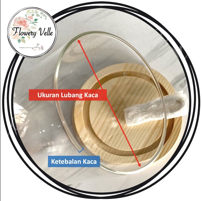 Jual Kubah Kaca Glass Dome Besar Kosong Glassbox Container Display Box ...