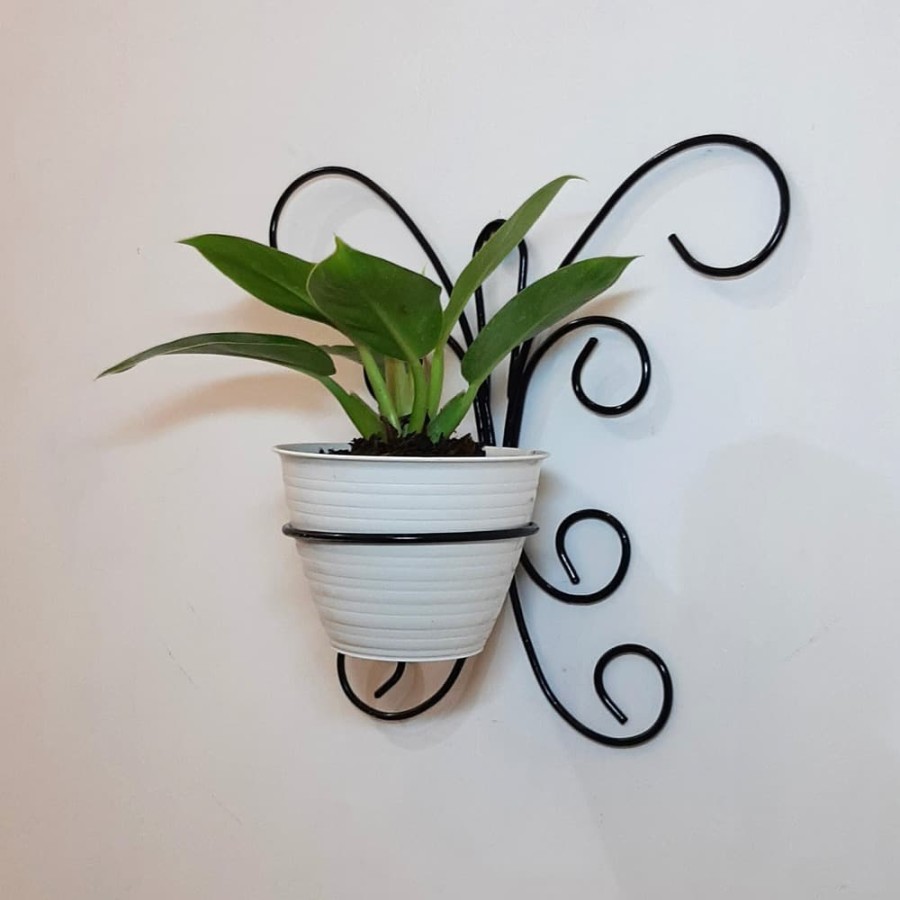Jual Gantungan Bunga dinding unik 3 pot - Hitam, Pot D12vb | Renos