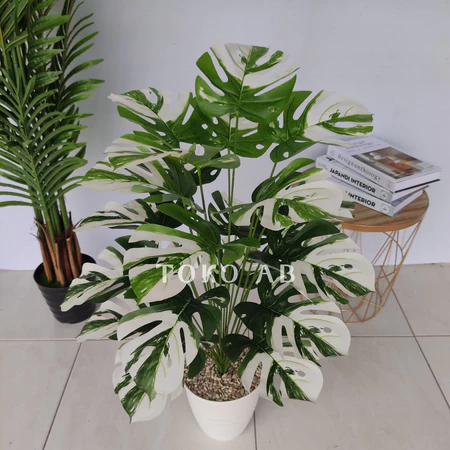 Jual TANAMAN HIAS DAUN PLASTIK BESAR DAUN MONSTERA VARIEGATA JUMBO D24 ...